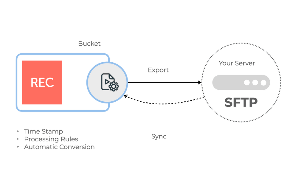 Video REC | Platform